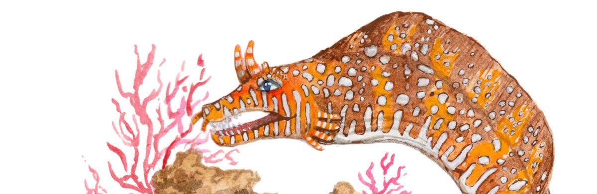The Dragon Moray Eel Dragon - by Giddy Minnow
