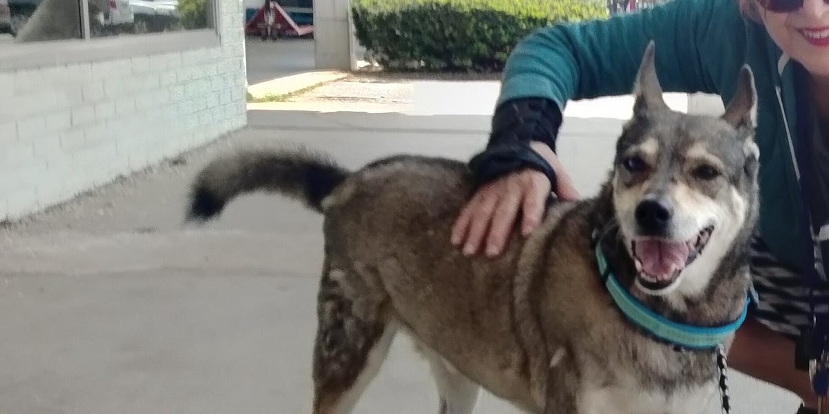 New Spencer CVS closes - InCity Times/CECELIA