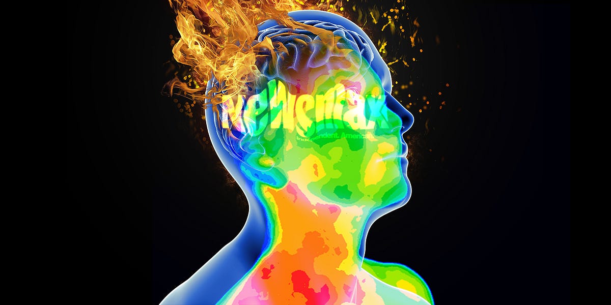 This Is Your Brain on Newsmax - by Tim Miller - The Bulwark