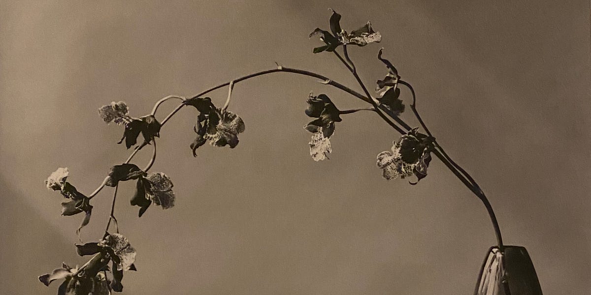 Why Generous, Transformative Talent Matters