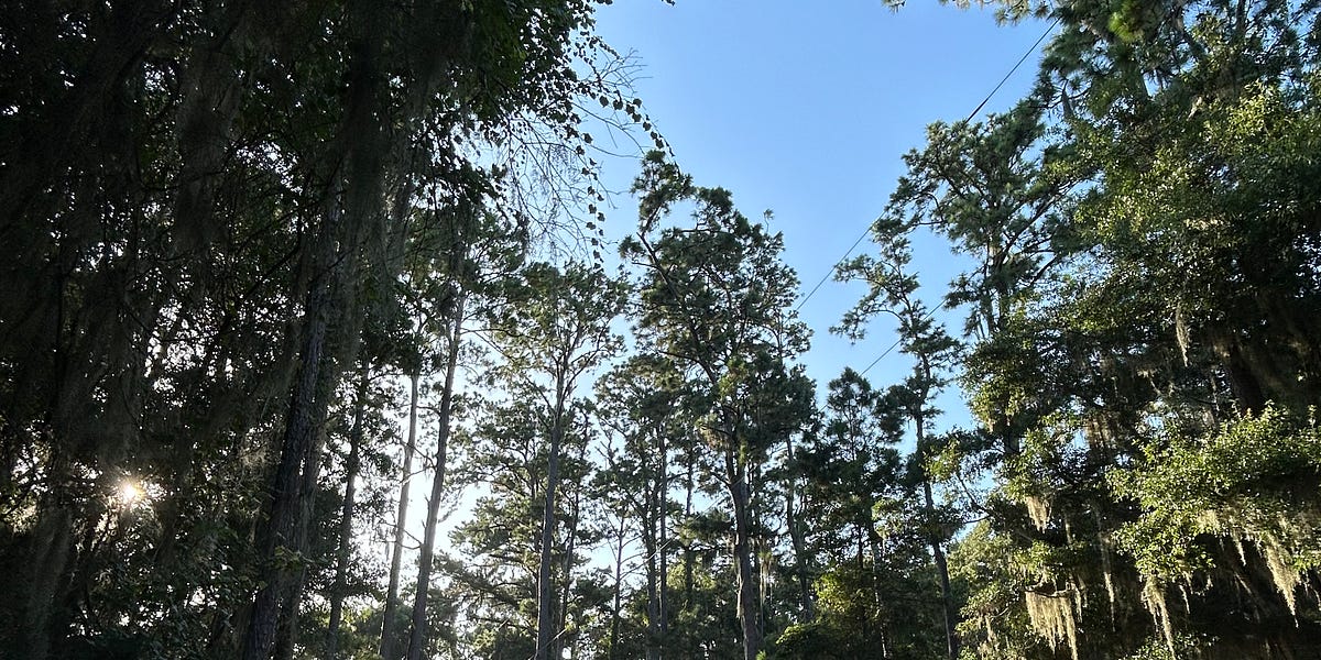 Small respite and large threats - by Justin Glawe