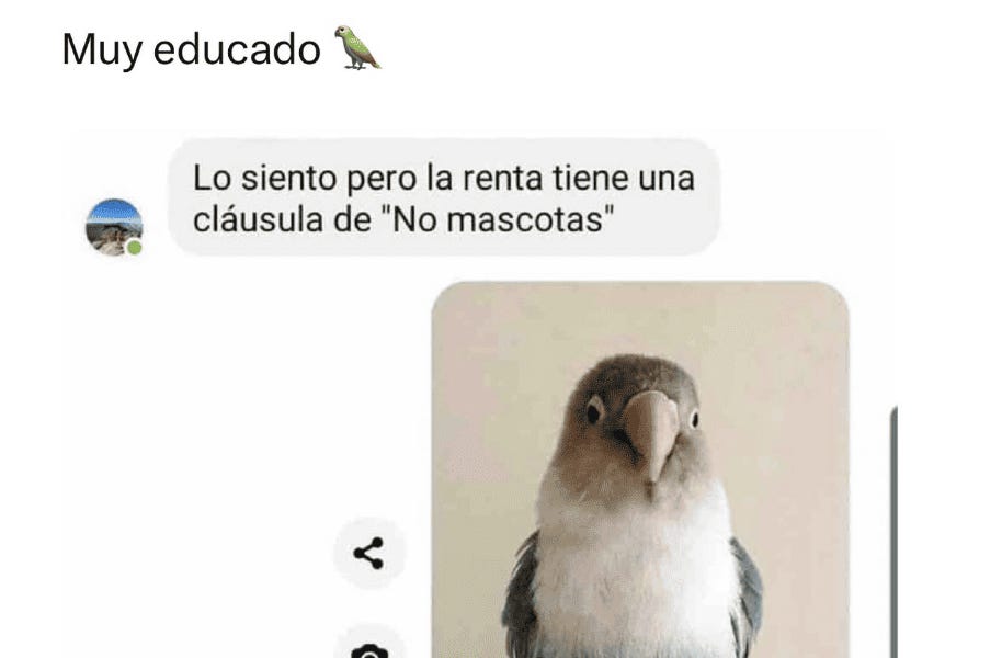 Memes of the Week - by Sarah DeVries - The In-Between