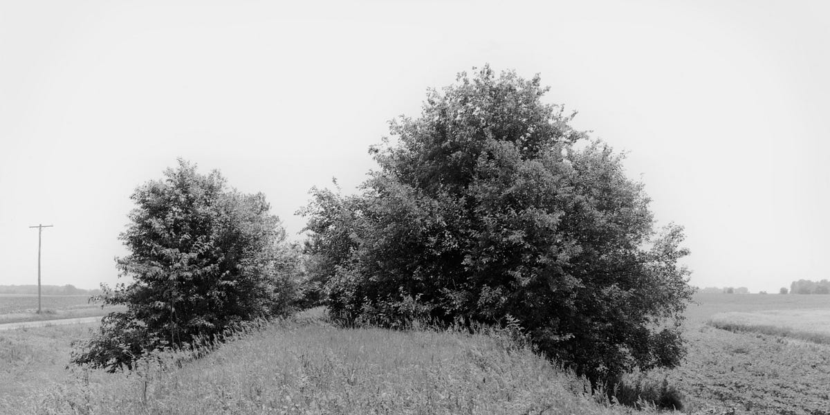 To photograph is to learn how to die - by Andy Adams