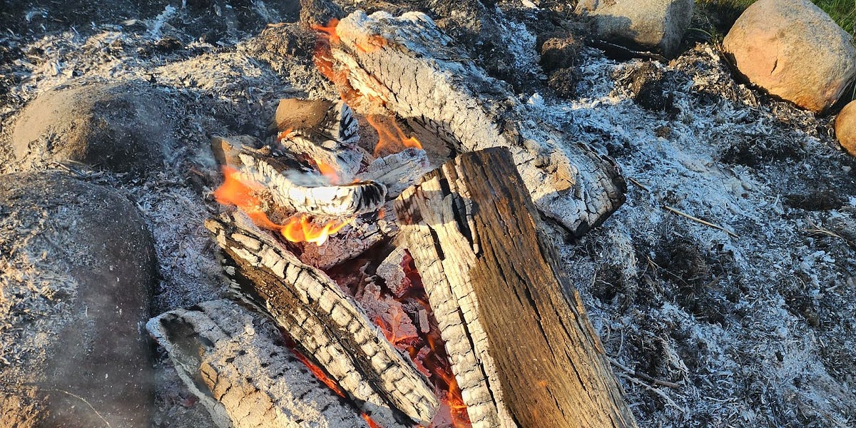 White Man Fires - by Robert Leonard