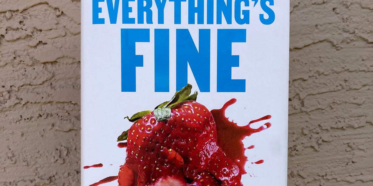 BOOK REVIEW: 'Everything’s Fine' by Cecilia Rabess