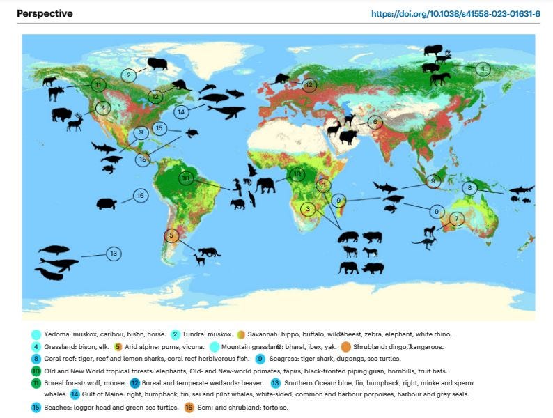 Trophic rewilding is a gigaton carbon capture opportunity and a lesson ...