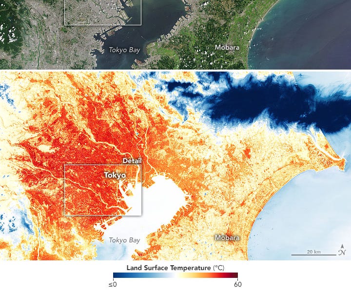 #62 How to survive a heat wave in Japan - by Hideo Tanikawa
