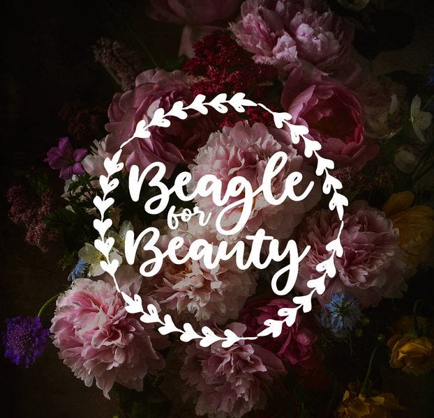 The Extraordinary Reversals of God~ The May Beagle