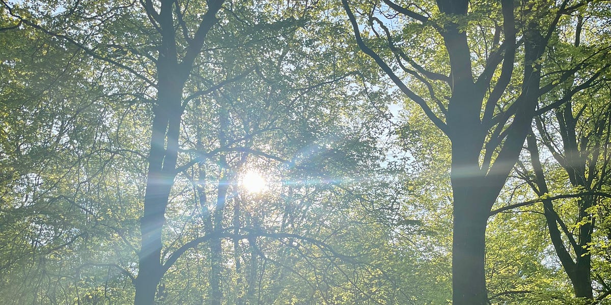 The sun is out... - by Louise Atthey - Pearls of Wisdom