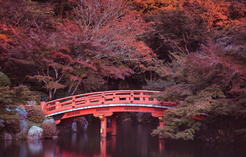 Navigating Vulnerability: The Power of Authentic Sharing in the Digital Age