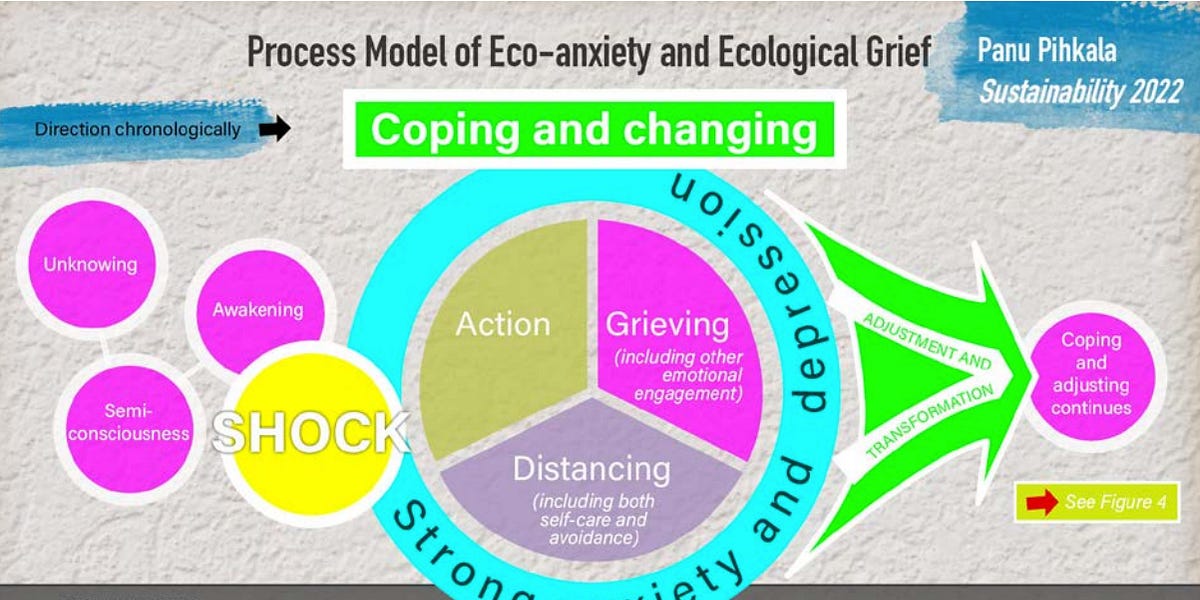 Coping with climate emotions.