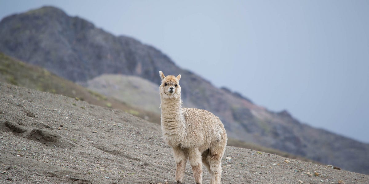 Quantization of Llama 2 with GTPQ for Fast Inference on Your Computer Quantization of Llama 2 with GTPQ for Fast Inference on Your Computer
