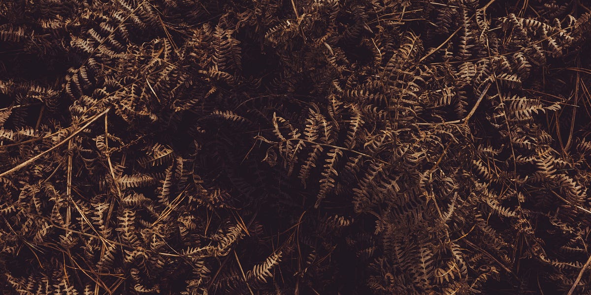 Paying the price for being nostalgic - by Susanne Helmert