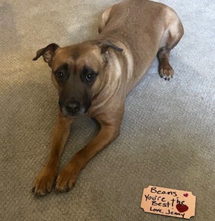 Jenny and Rogan - The Jennifer Schultz Books Newsletter