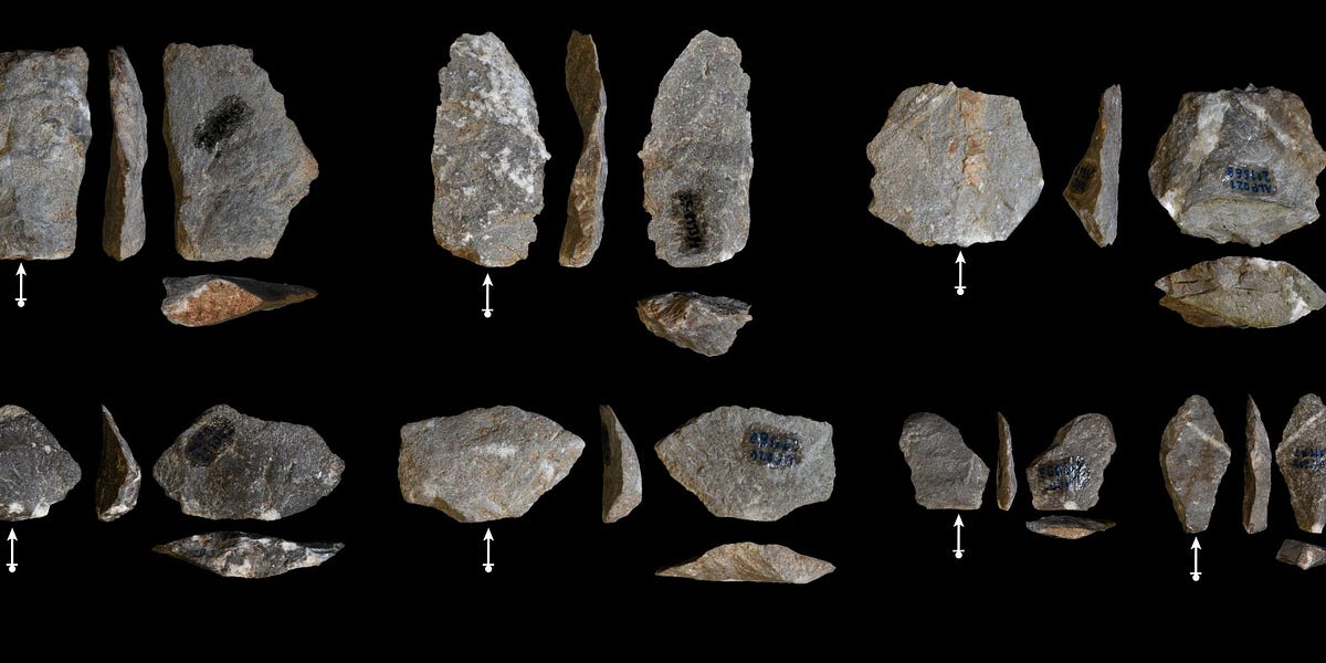 Remarkable Similarities of Stone Tools Made by Macaques to Those of ...