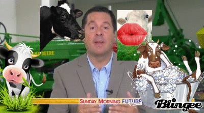 Devin Nunes Rides Cow Into Sunset - by Evan Hurst