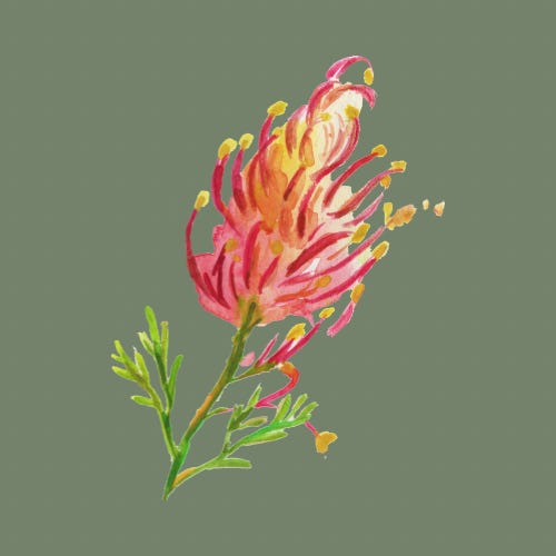 Danika - Bunbury, WA / Wardandi Country