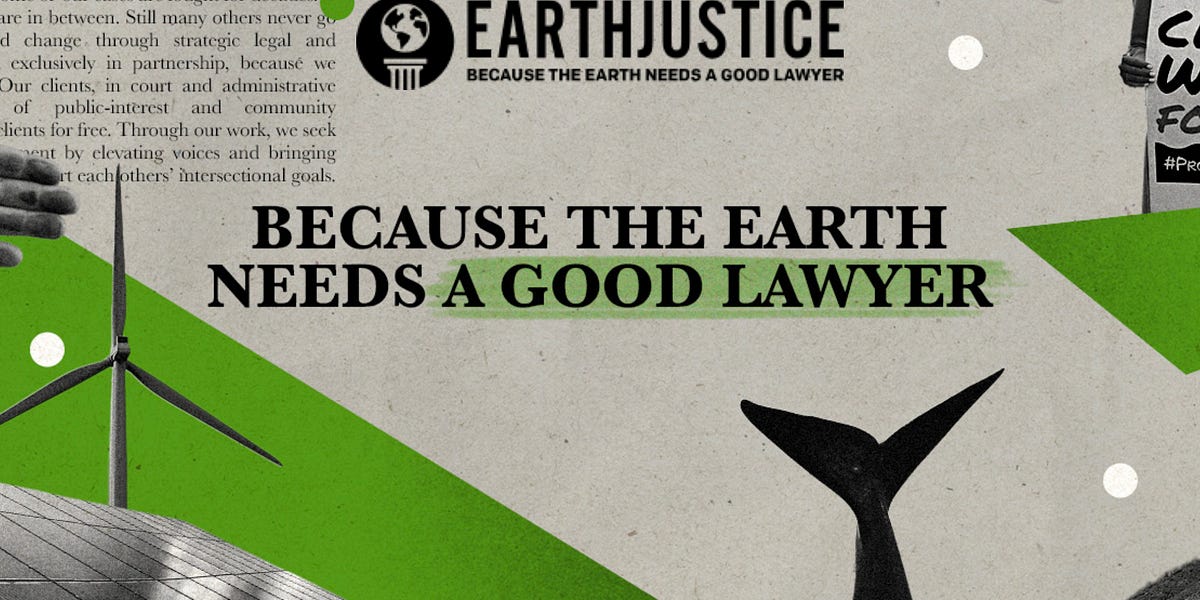 Earthjustice, Associate Director of Social Media