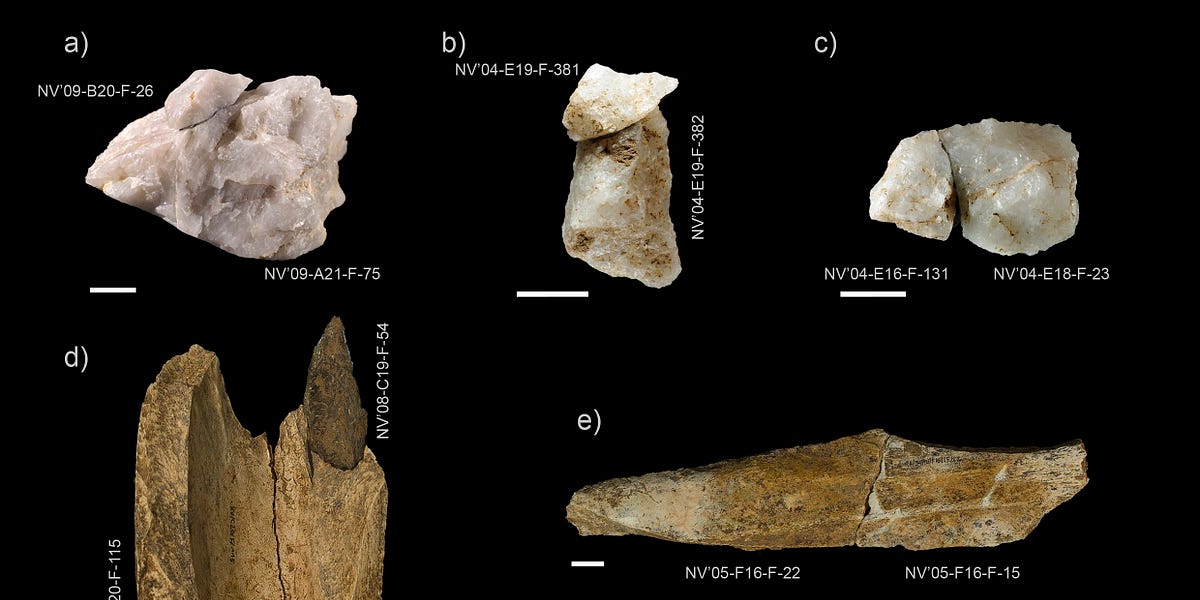 New research sheds light on the diversity of Neanderthal hunting practices