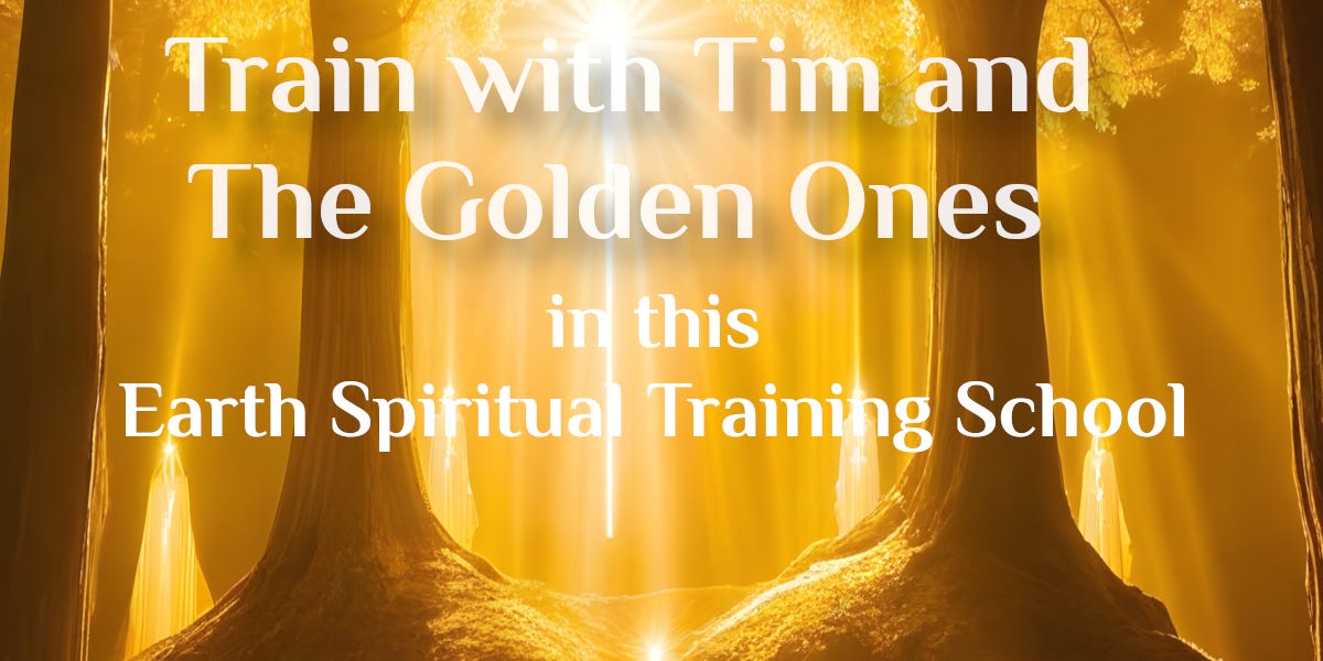 The Law of Creation - by Tim Doyle & The Golden Ones