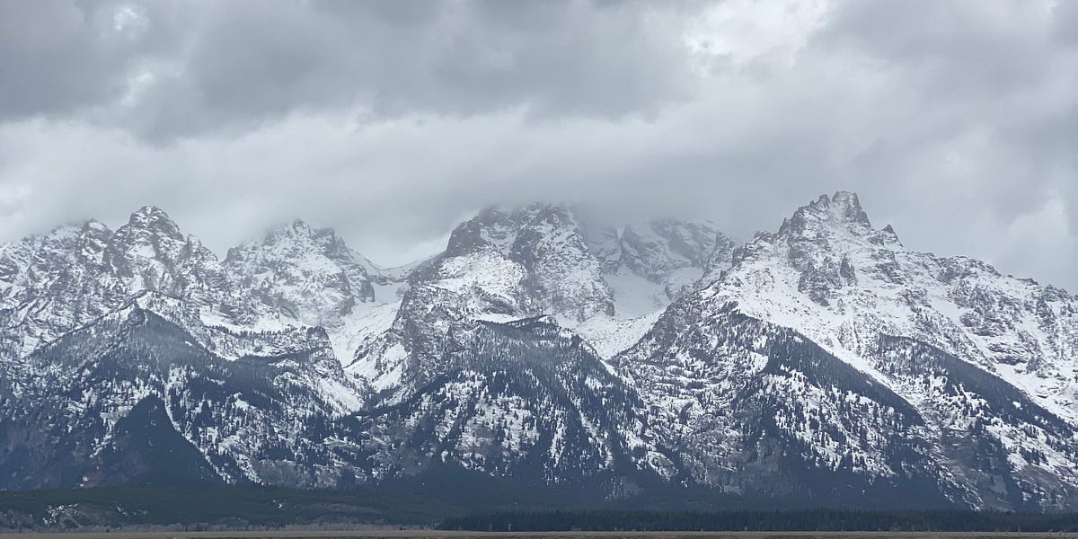 A First Look at the BRST Formalism - by Sean Downes