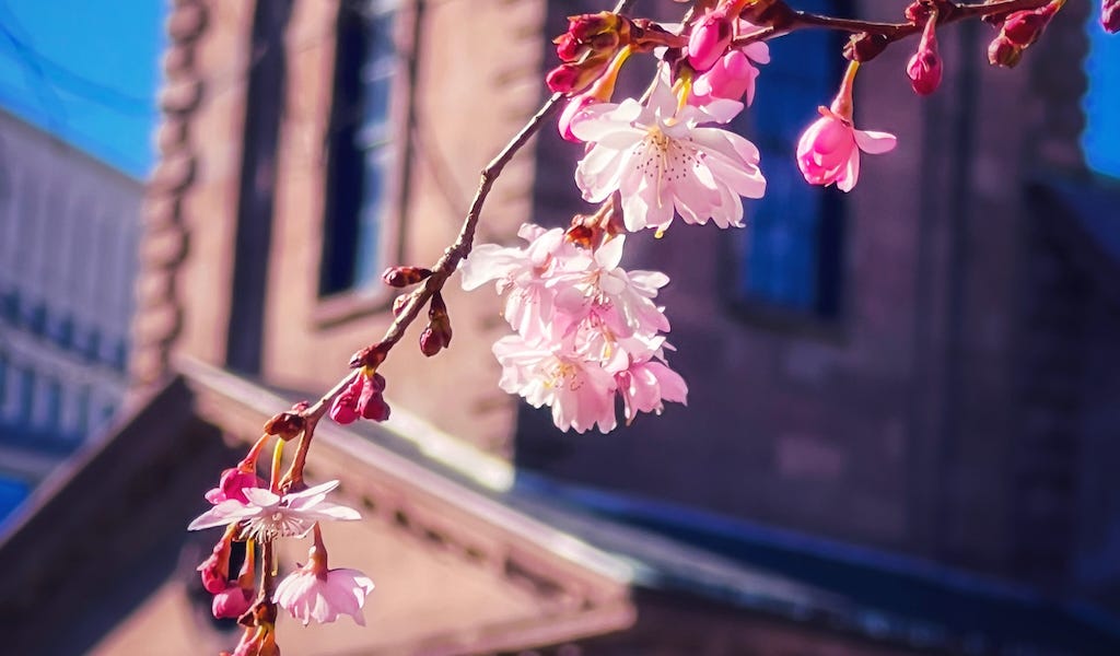 The Right Stuff - by Sheila Moeschen - Humor Saves!