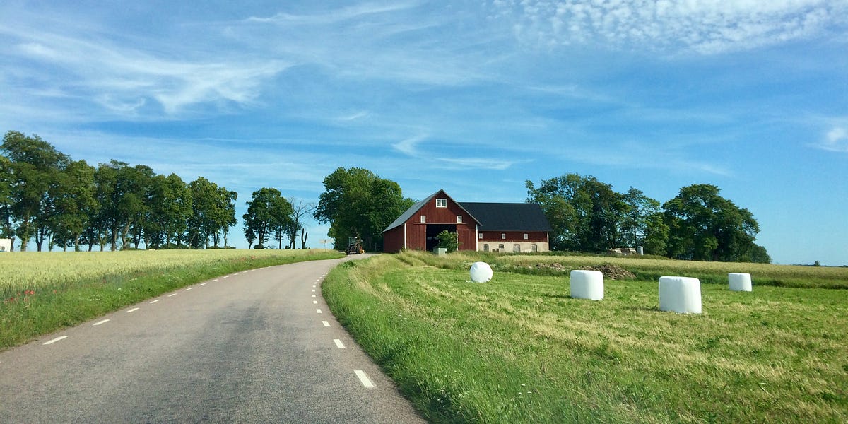 Being a Stranger Back Home - by Gregory Garretson