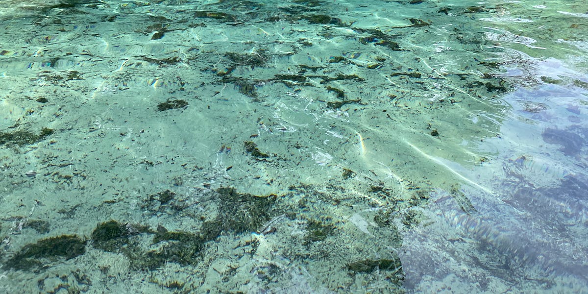 💦 The Springhead 💦- #1 - by Karen Mclaughlin