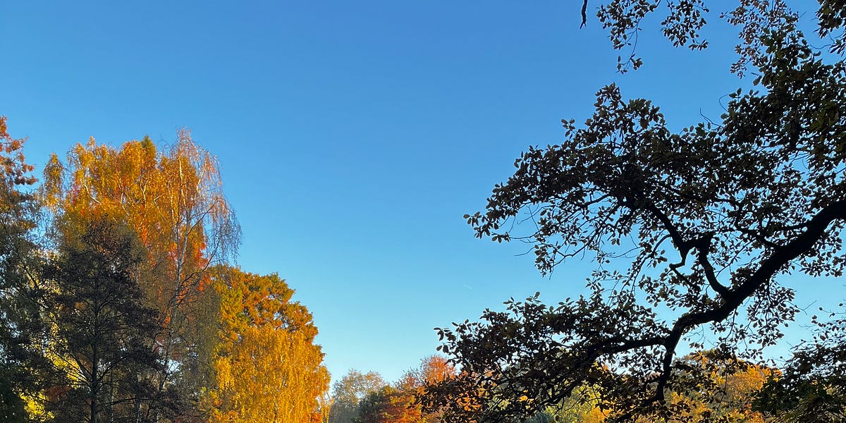 Reducing the input - by Anna Fulton - Off the Mat