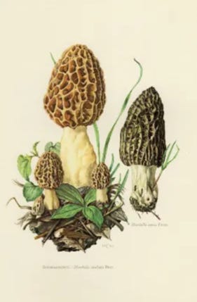 News From Rulo - Free Radio Rulo