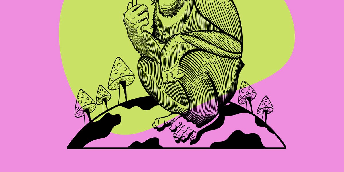 Ape to Einstein? Exploring The Stoned Ape Theory