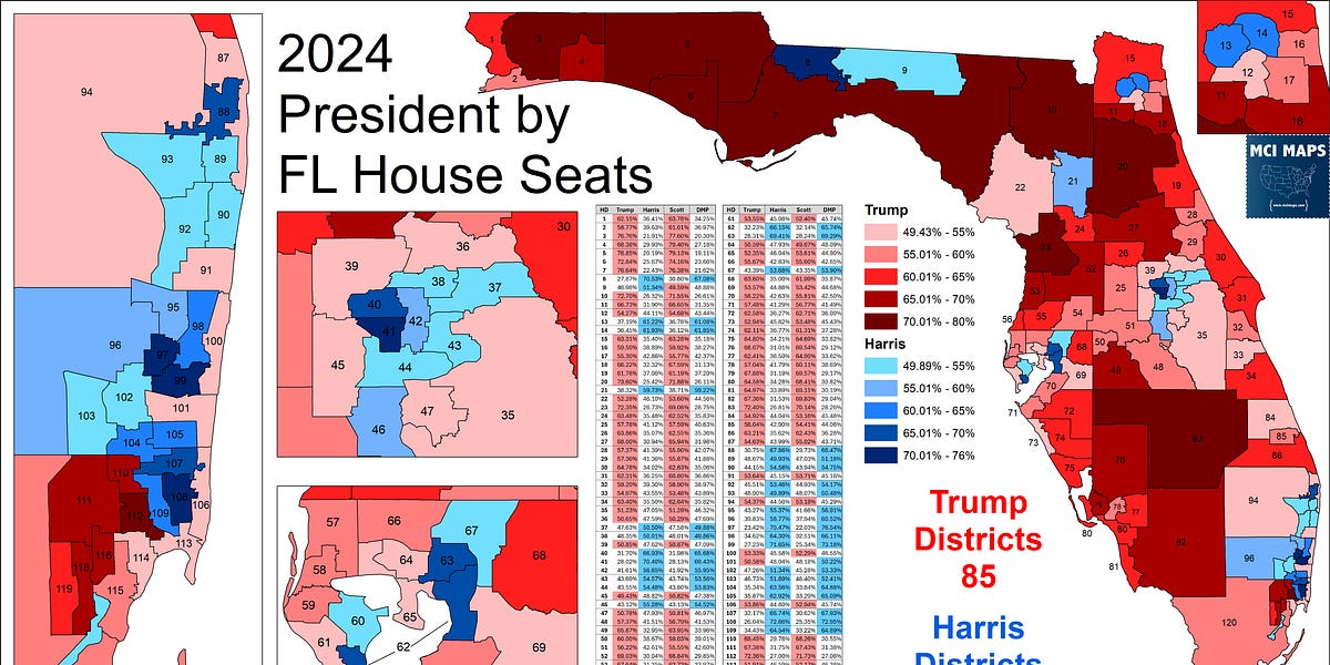 Issue #223: The 2024 Elections by Florida State House District