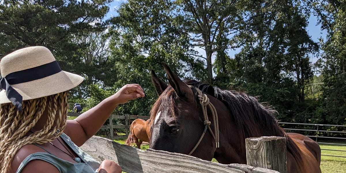 What Comfort Zone? - by Leah Nicole Whitcomb