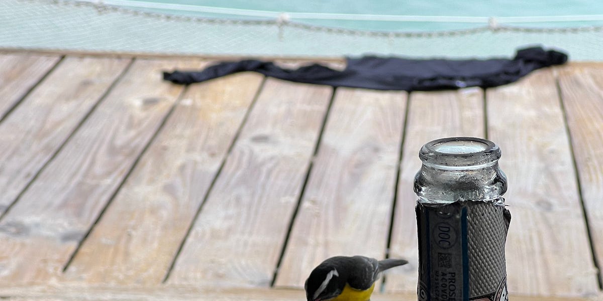 Vacation - by Laurent The Gentleman - Laurent’s Substack