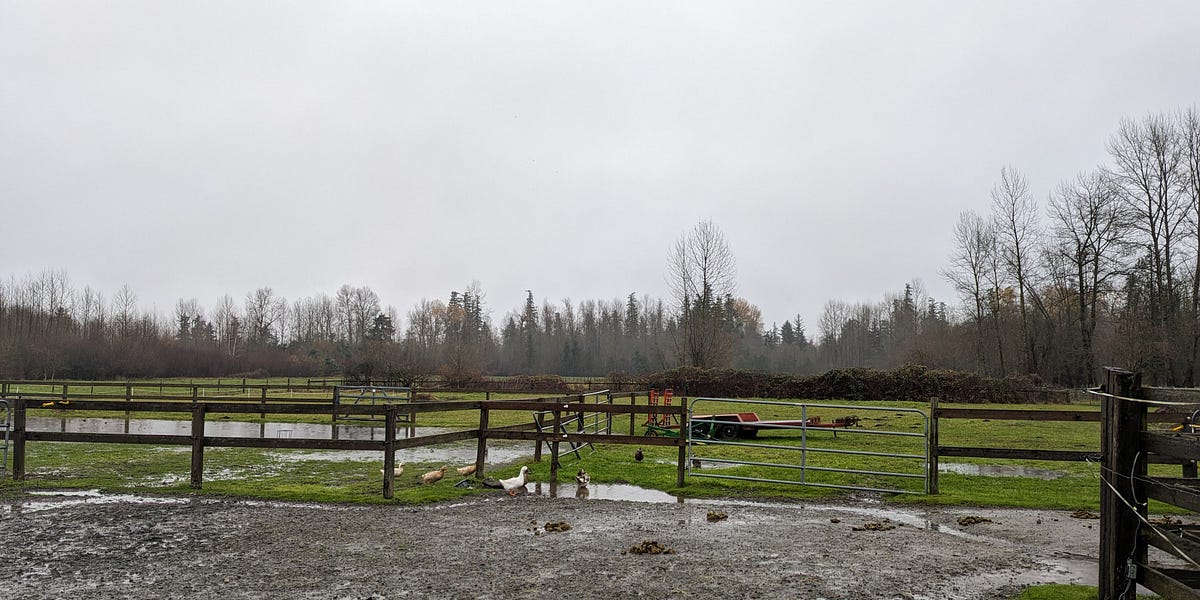 Good Neighbors - by John McLarty - John’s Substack