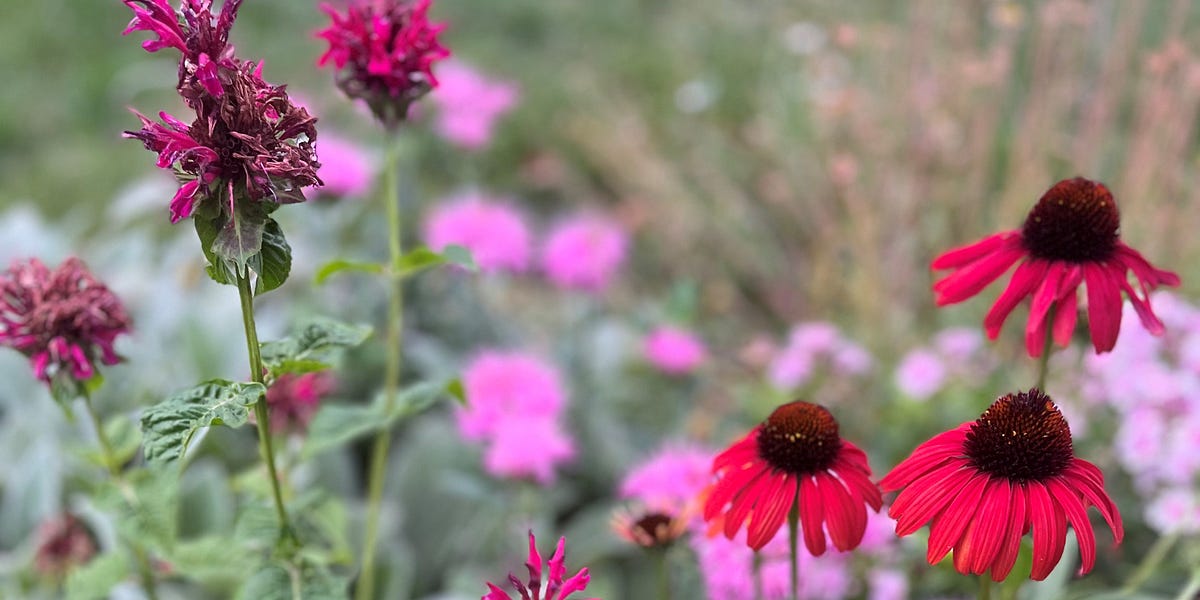 Making Space for Priorities - by Wendy Cichanski Caduff