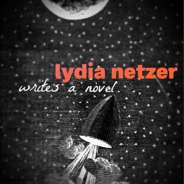 Lydia Netzer (Writes a Novel)