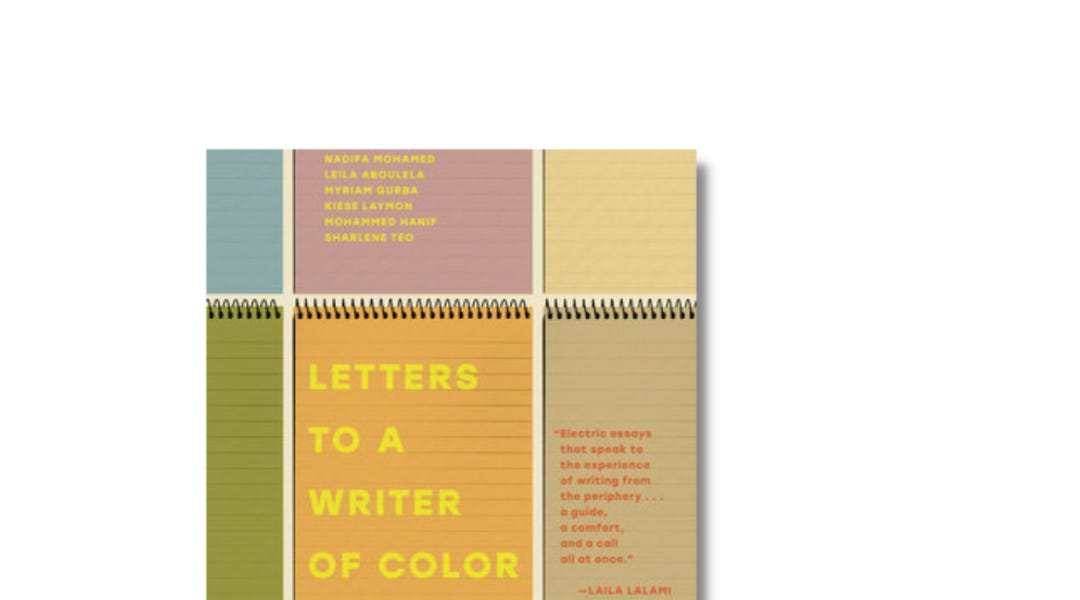 Book Review: Letters to a Writer of Color by Deepa Anappara (Editor ...