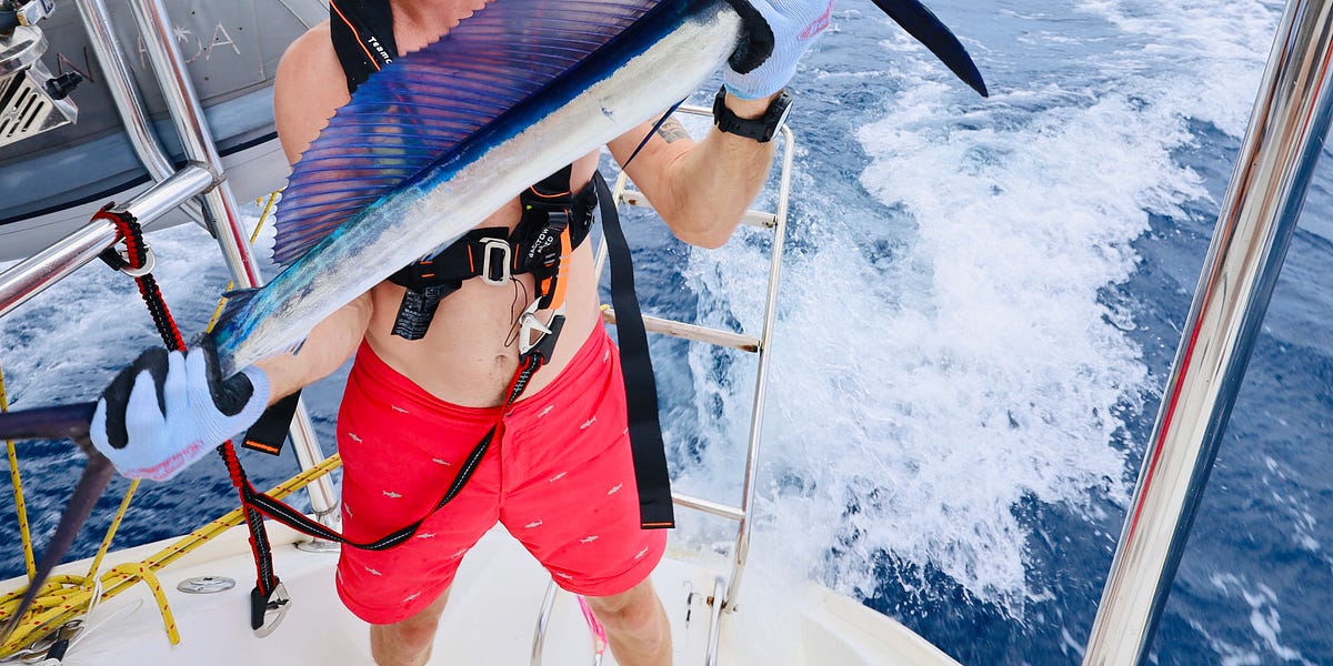 An Exclusive Mid-Atlantic Update - Sailing Nahoa Newsletter