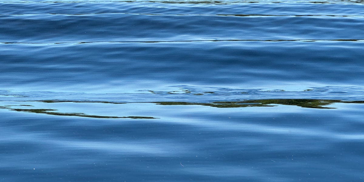 the waters - by elizabeth walker - elizabeth’s Substack