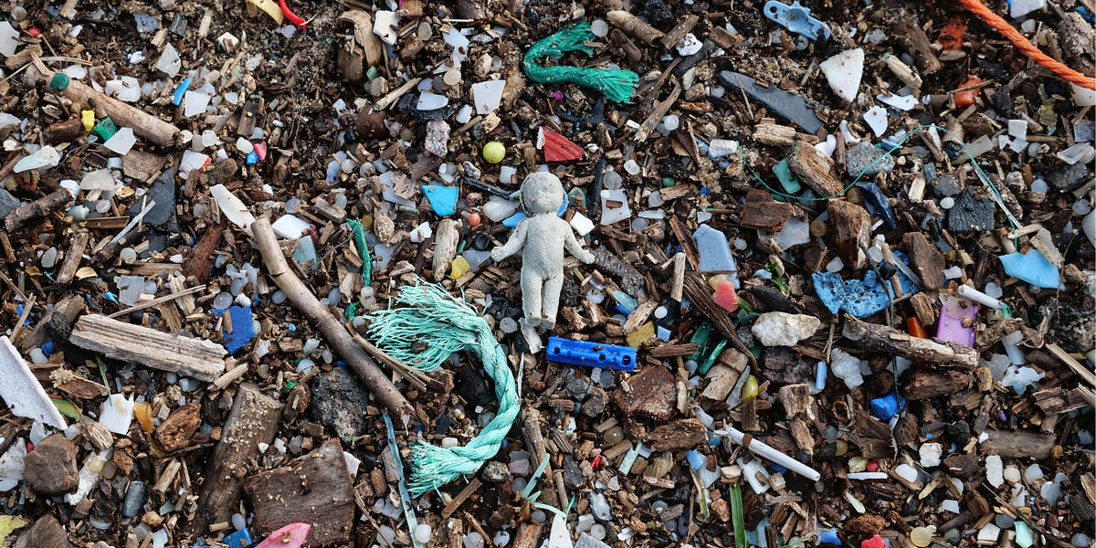 Averted Vision - by Meg Conley