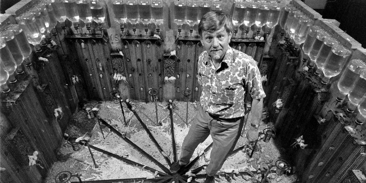 Universe 25: The Heaven for Mice that turned into Hell