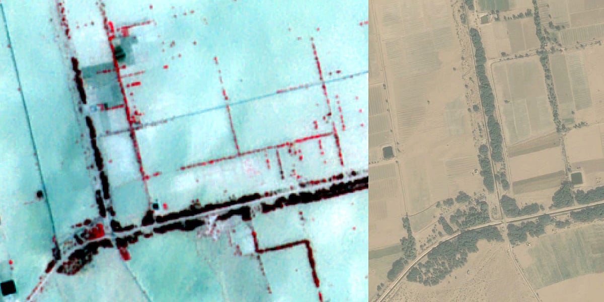 Exploration of the brand new LISS4 data release and opportunities