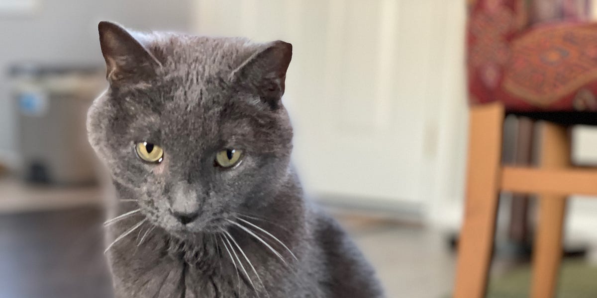 Create. - by Jay Lance - Advice From a Relatively Old Man