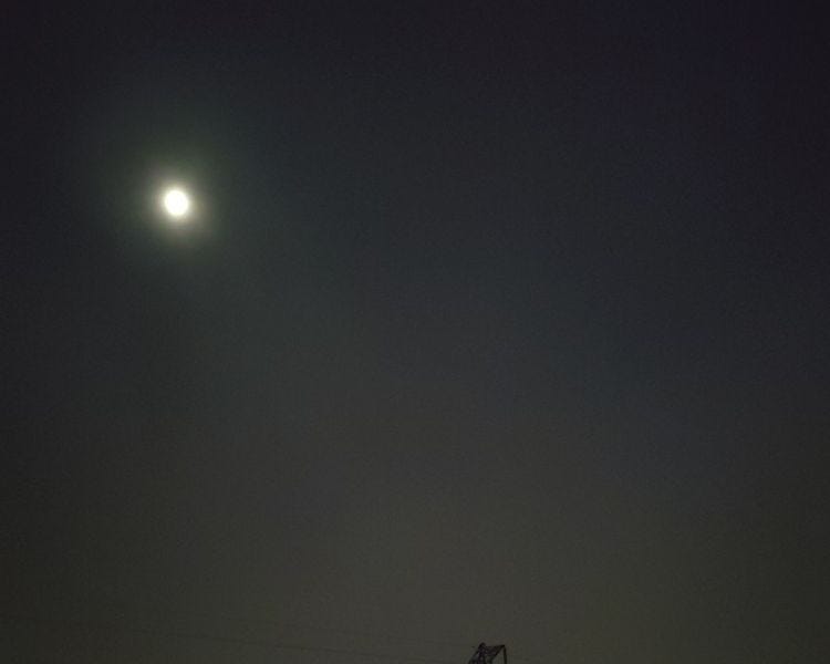 Singing in the Wire - Willerby’s Substack