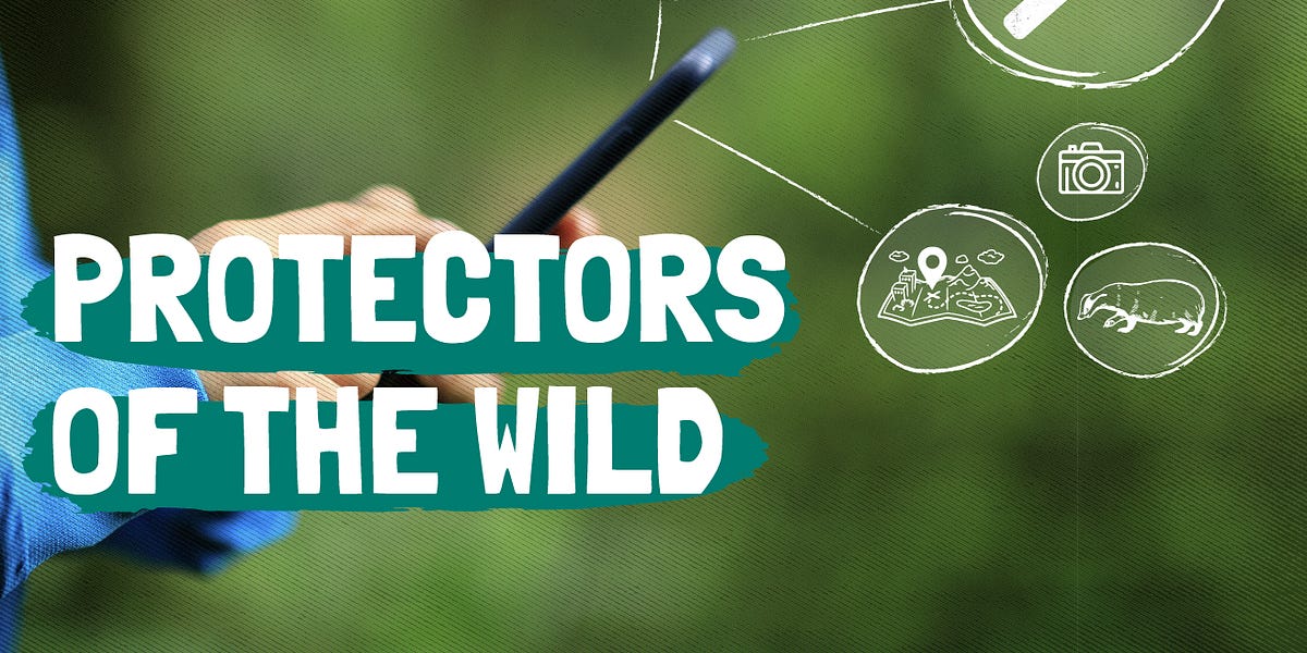 Inside Protect the Wild: why did we create Protectors of the Wild?