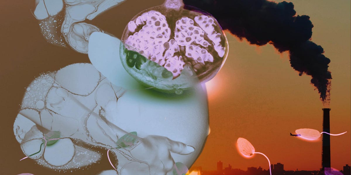 The pox is back - by Nate Bear - ¡Do Not Panic!