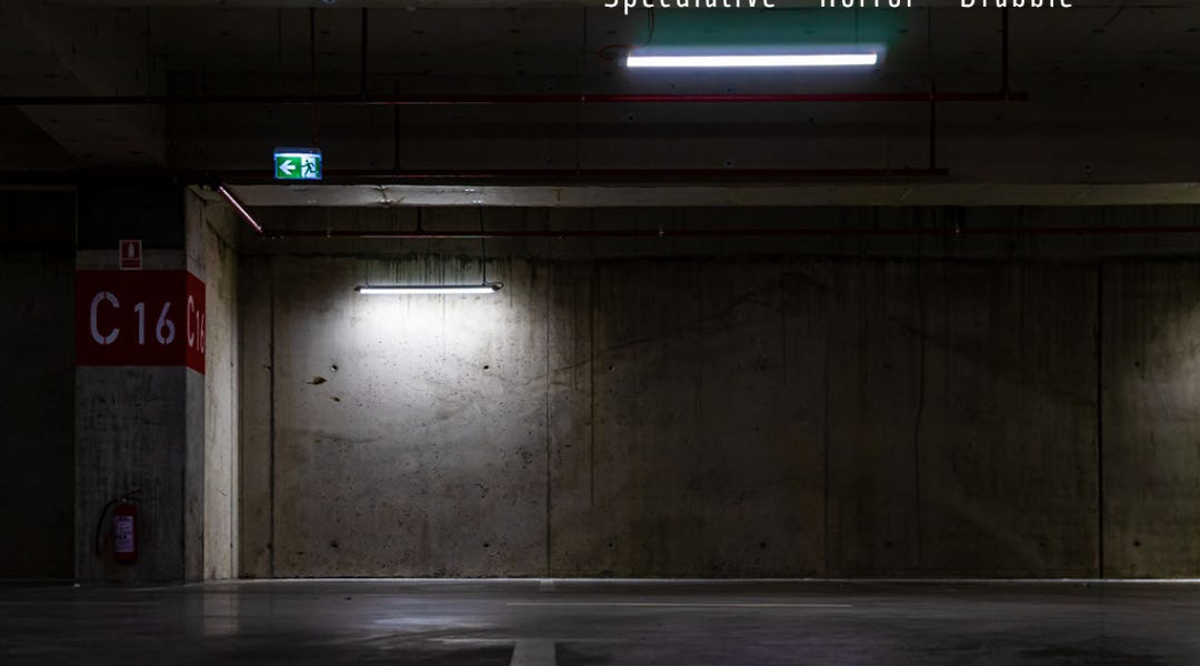 The Next Step - Jakob Wild's Substack