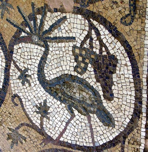 Bird. - Maxwell the Cat