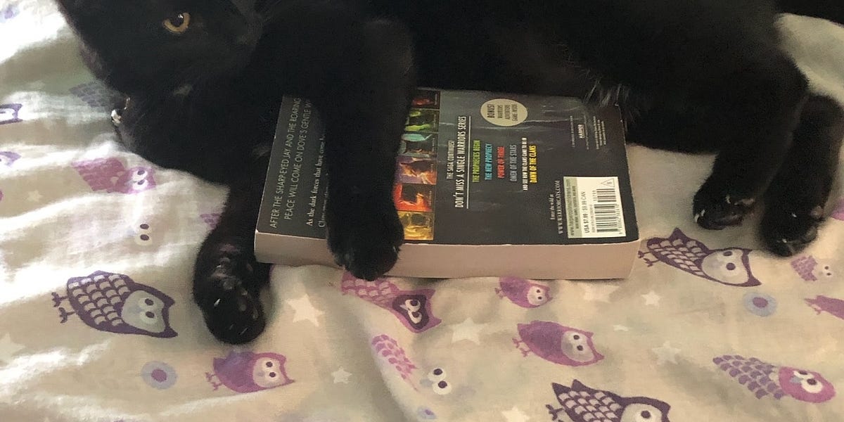 What to Read: Cults, Rodents and Mariticide